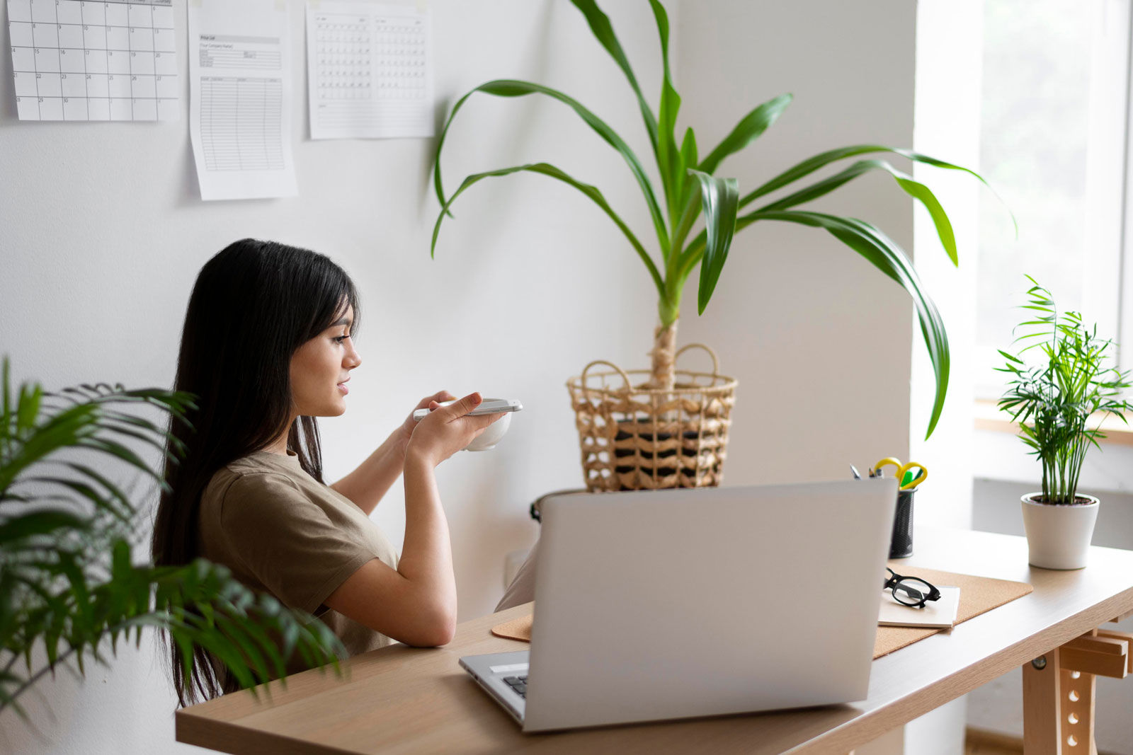 Woolish | Wool + Innovation