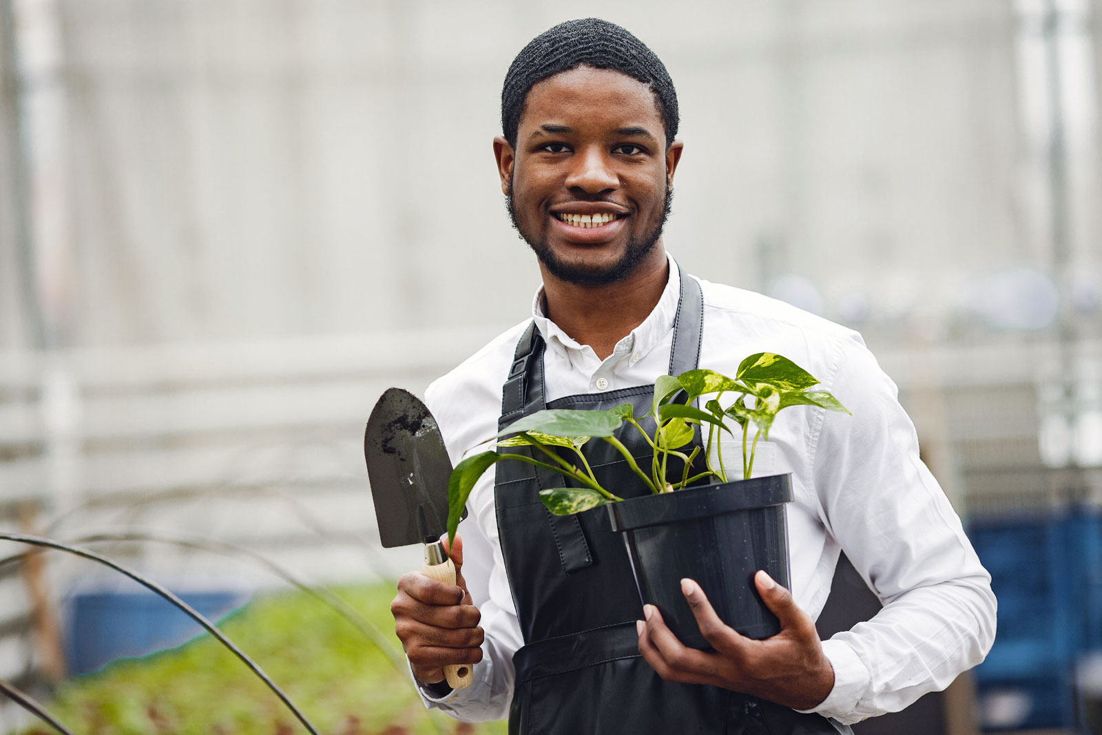 Woolish | Wool + Innovation