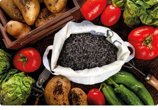 Woolish | Wool + Innovation