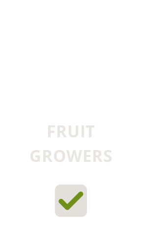 Woolish | Wool + Innovation