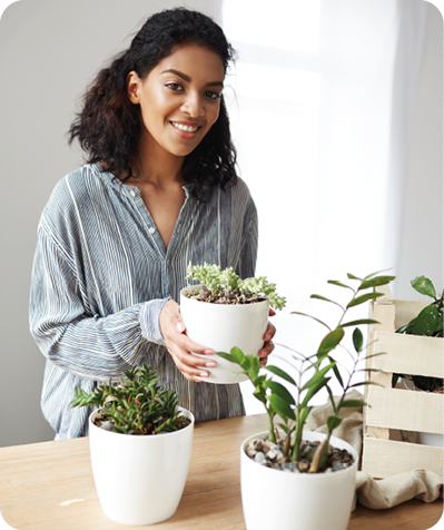 Woolish | Wool + Innovation